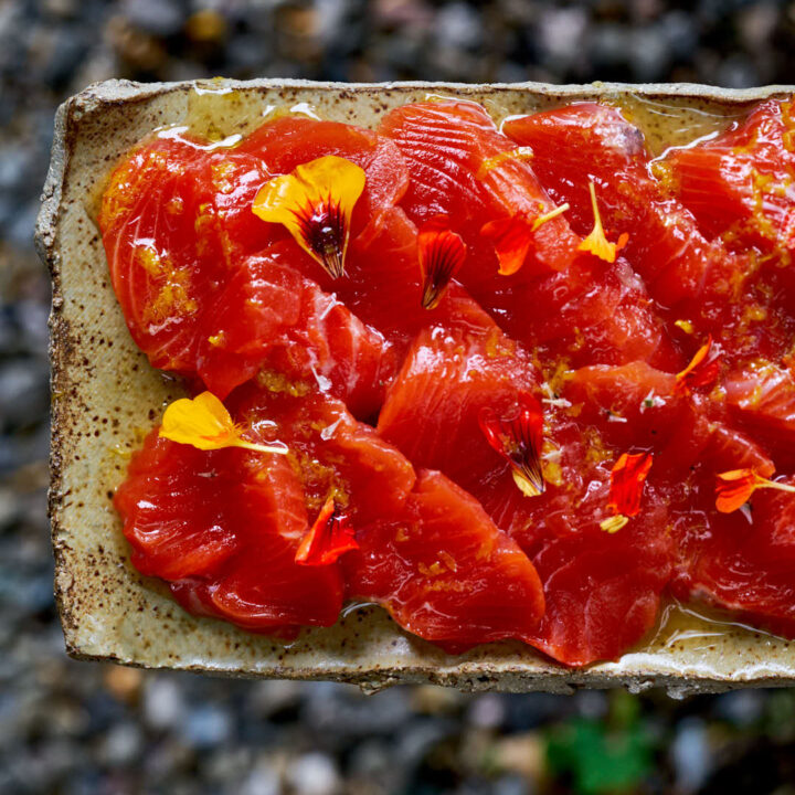 Salmon Crudo - Proportional Plate