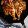 Spatchcock Cast-Iron Mustard Chicken - Proportional Plate