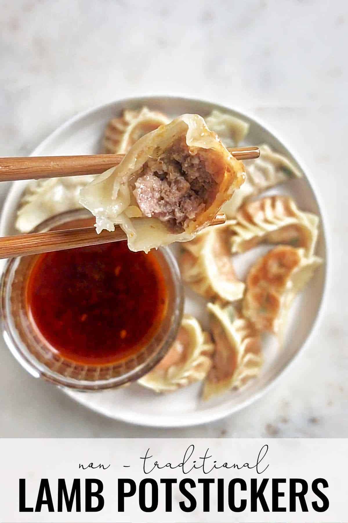 Lamb Potstickers - Crispy Bottom Dumplings | Proportional Plate