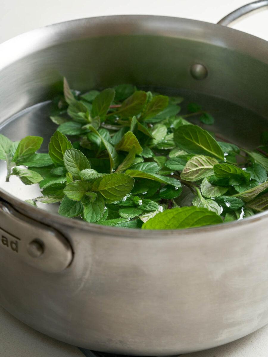 Whole Leaf Mint Simple Syrup - Proportional Plate
