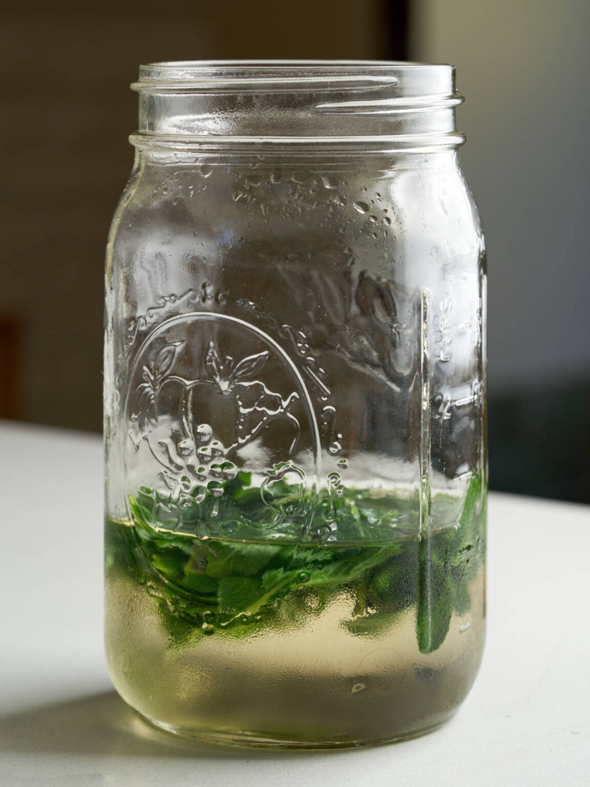 Whole Leaf Mint Simple Syrup - Proportional Plate