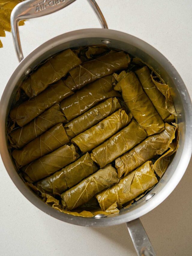 Dolmeh (Dolmas) - Stuffed Grape Leaves - Proportional Plate