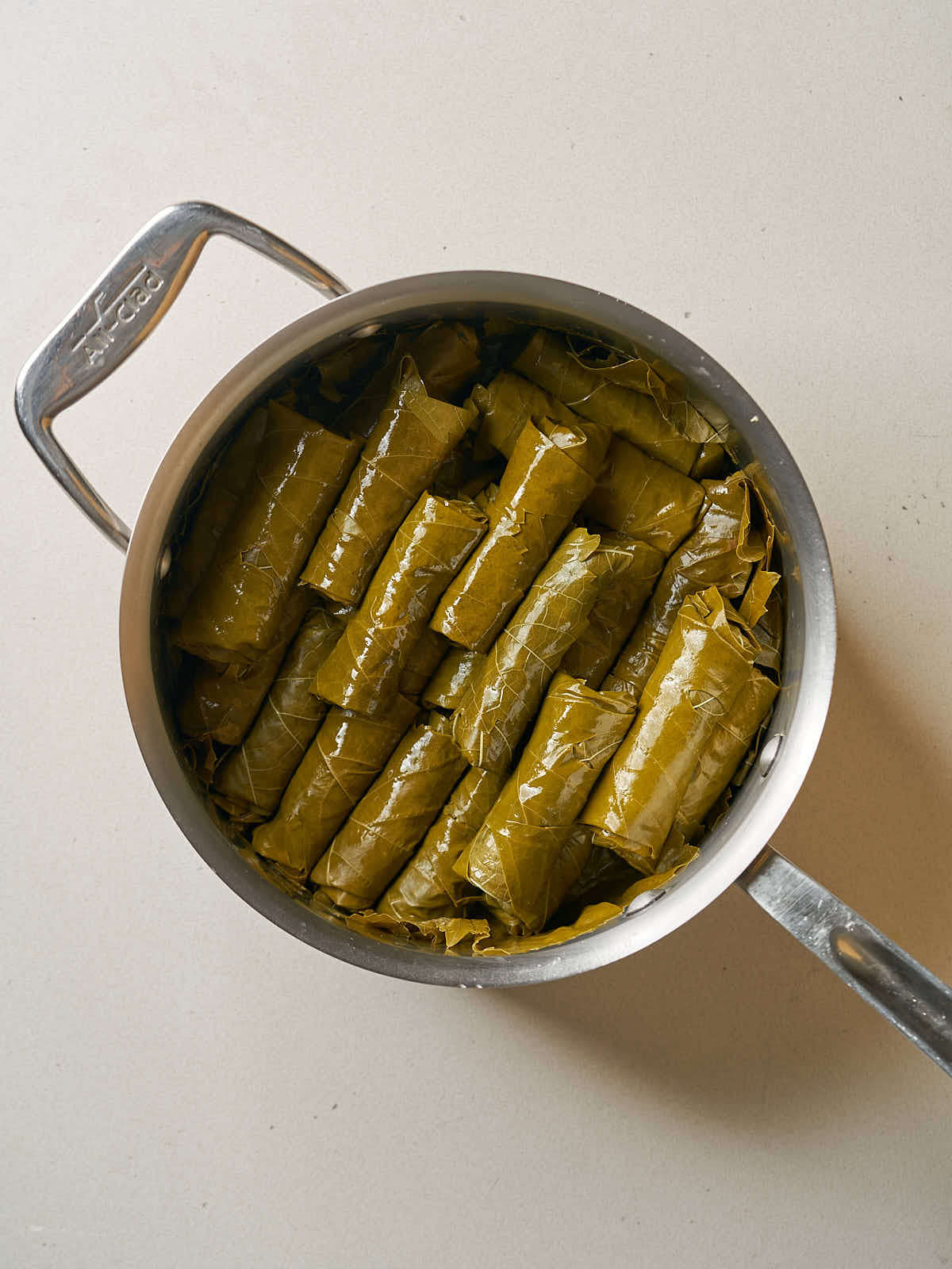 Dolmeh (Dolmas) - Stuffed Grape Leaves - Proportional Plate